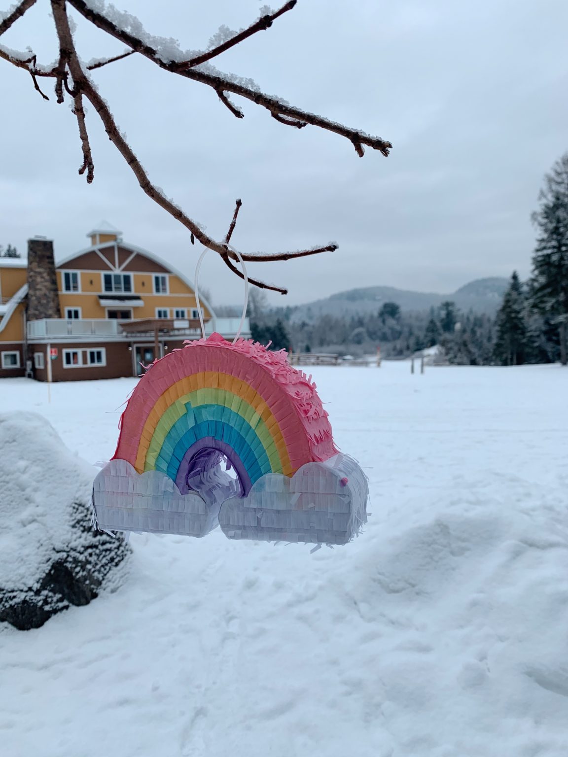 Edphy International - Summer and day camps