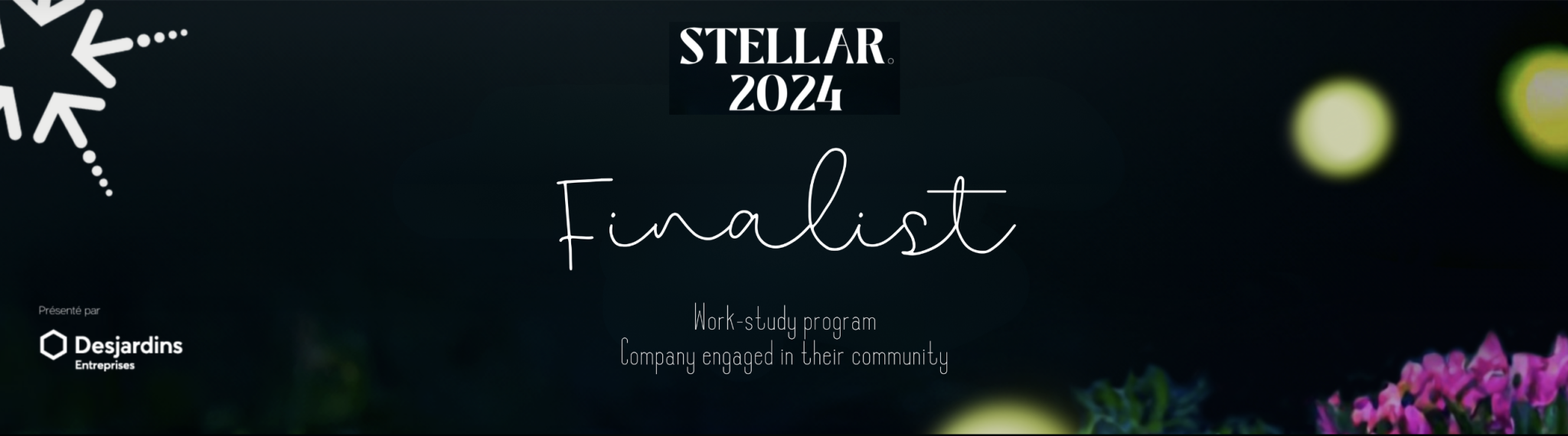 Edphy International - Summer and day camps