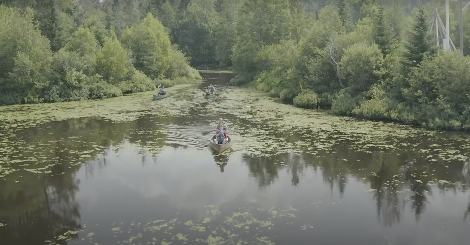 Edphy International - Summer and day camps