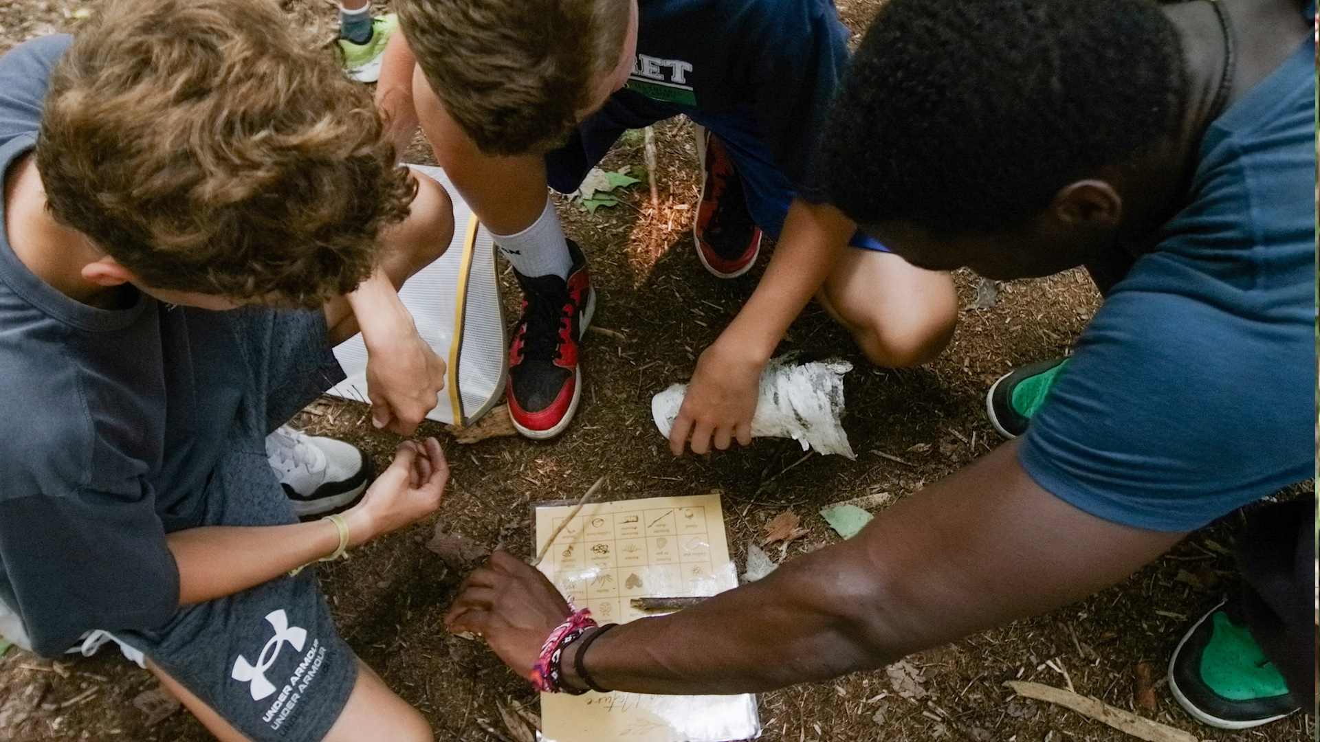 Nature interpretation activities - Edphy International